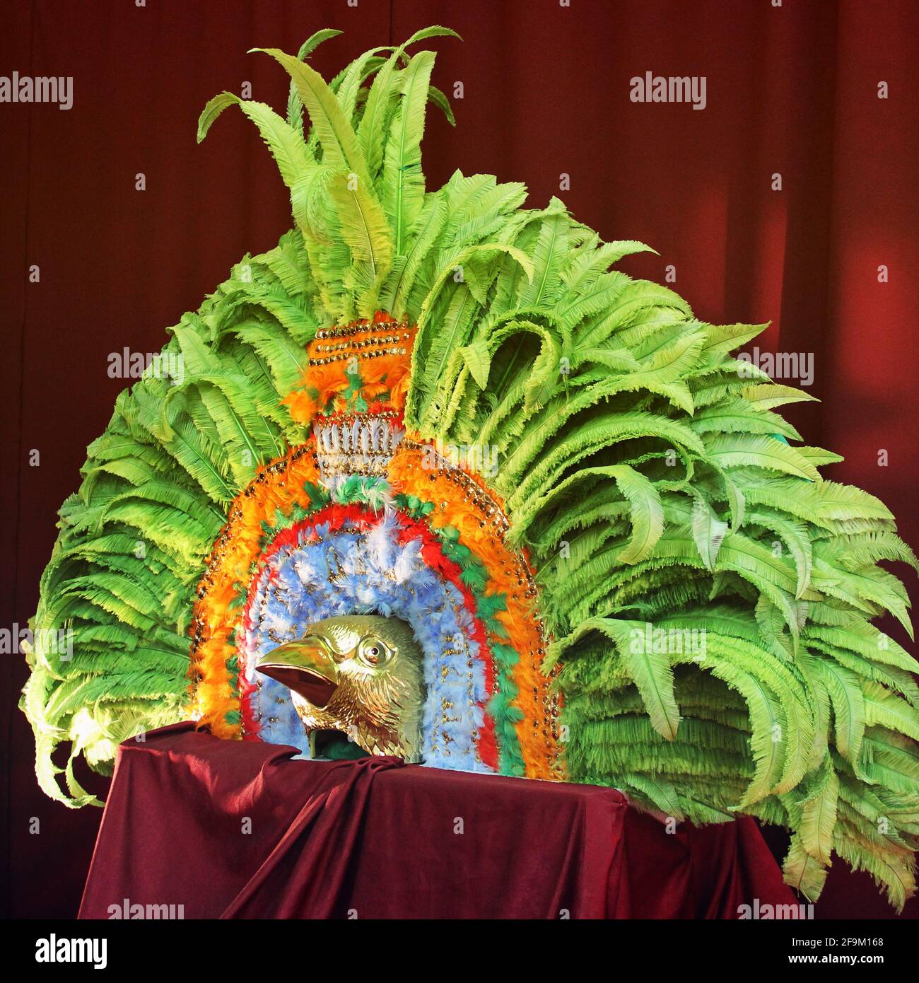 Crown of feathers hi-res stock photography and images - Alamy
