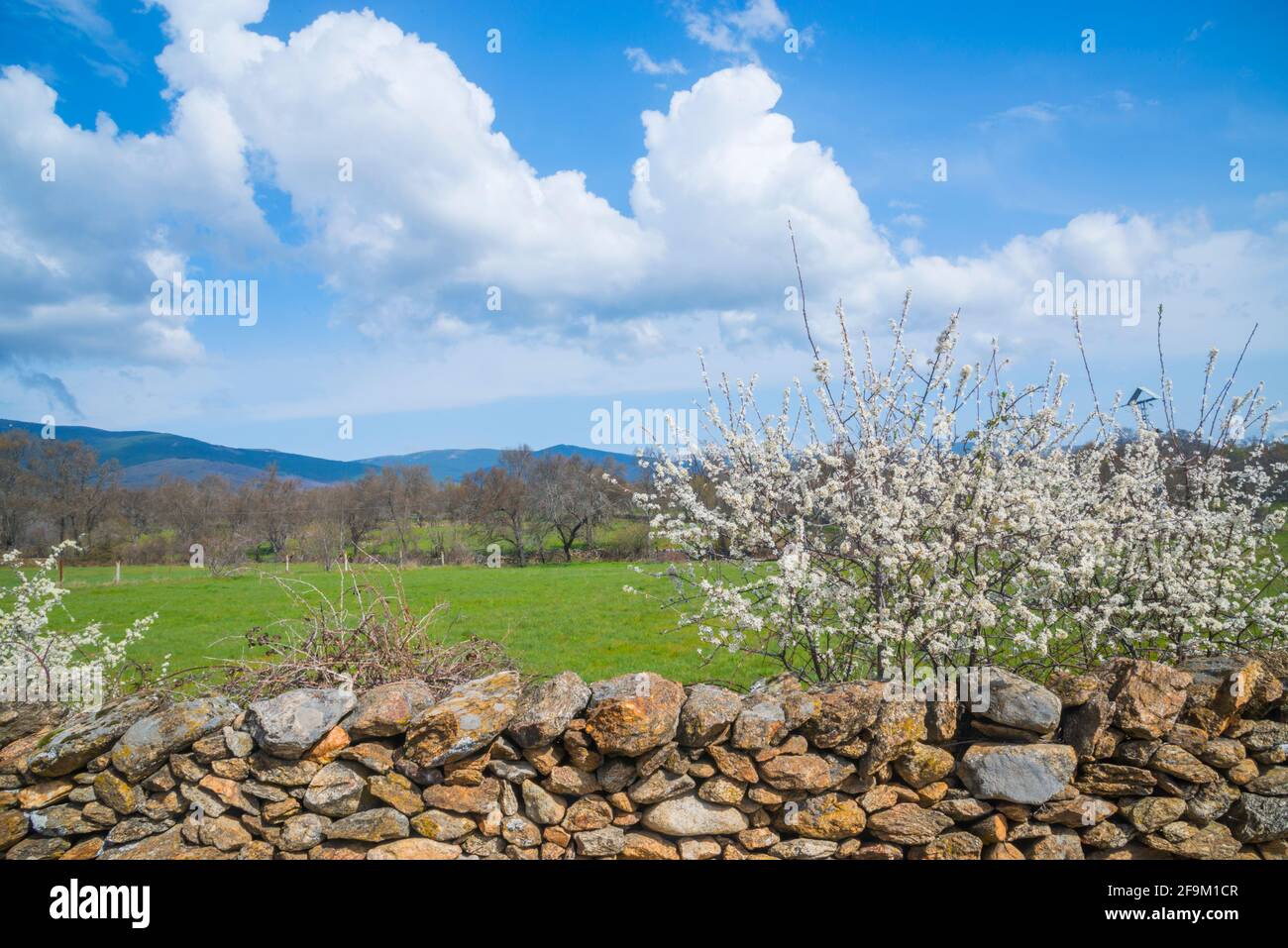 Spring landscape. Pinilla de Buitrago, Madrid province, Spain Stock ...