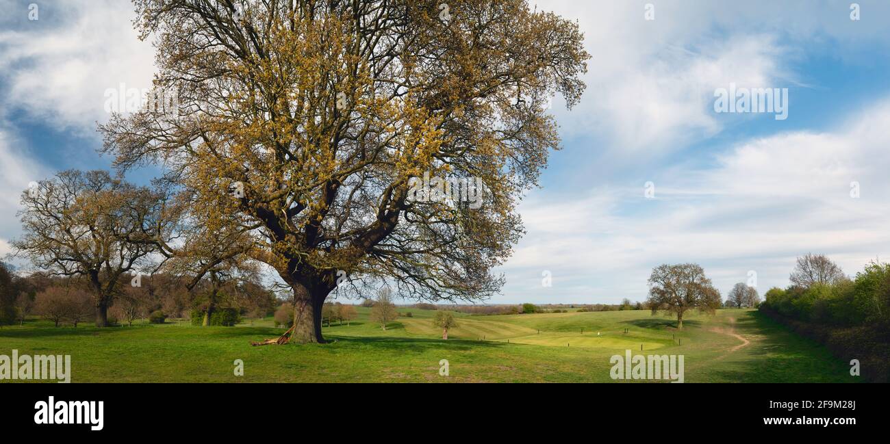 Beverley westwood golf hi-res stock photography and images - Alamy
