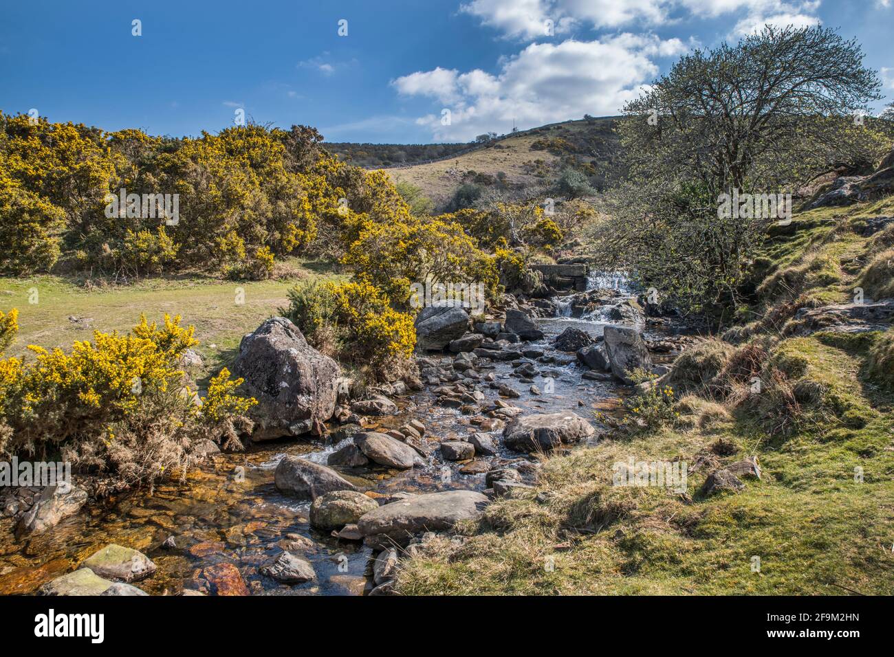 Meldon okehampton hi-res stock photography and images - Alamy