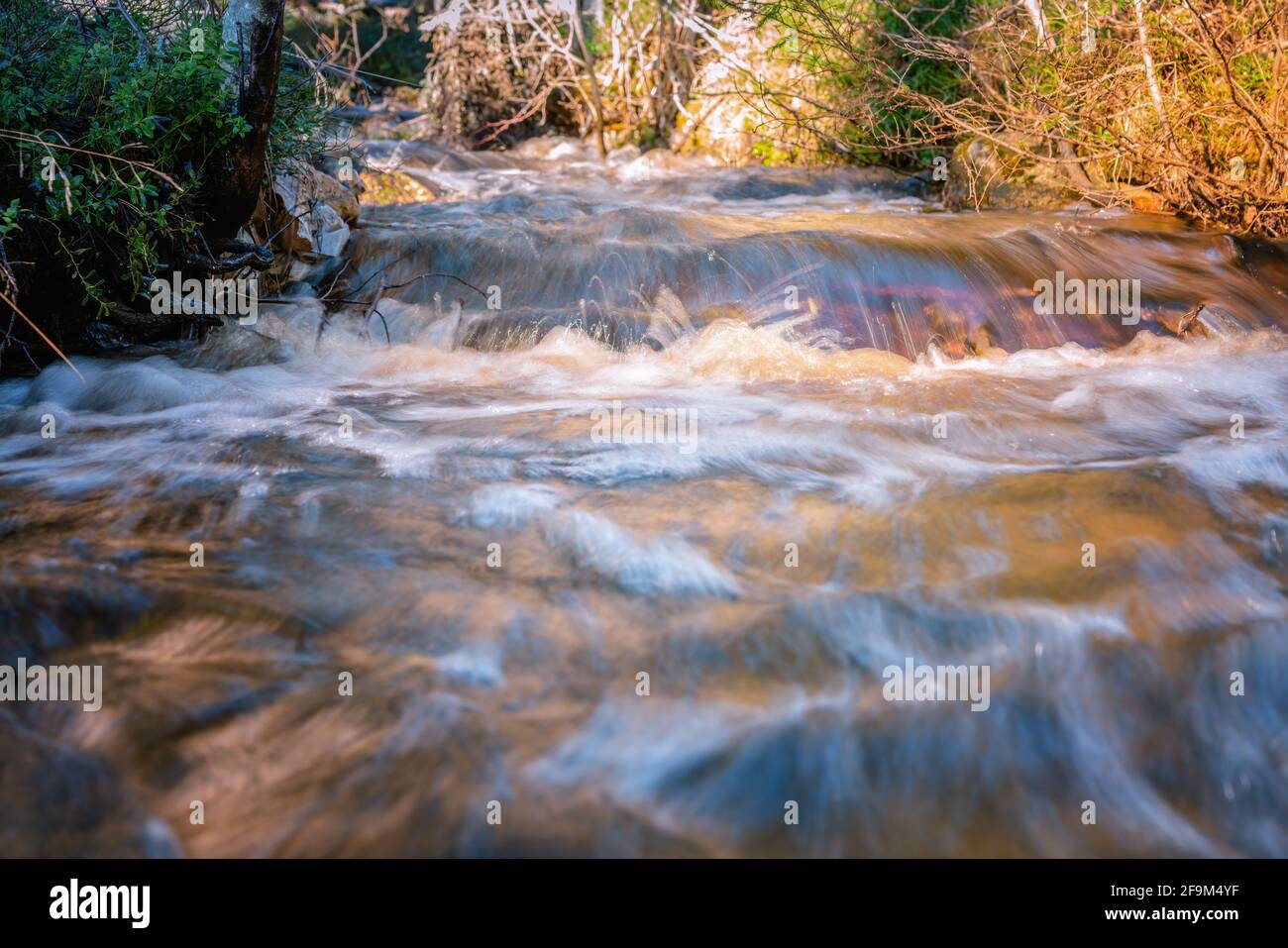 Scandinavian forest hi-res stock photography and images - Alamy