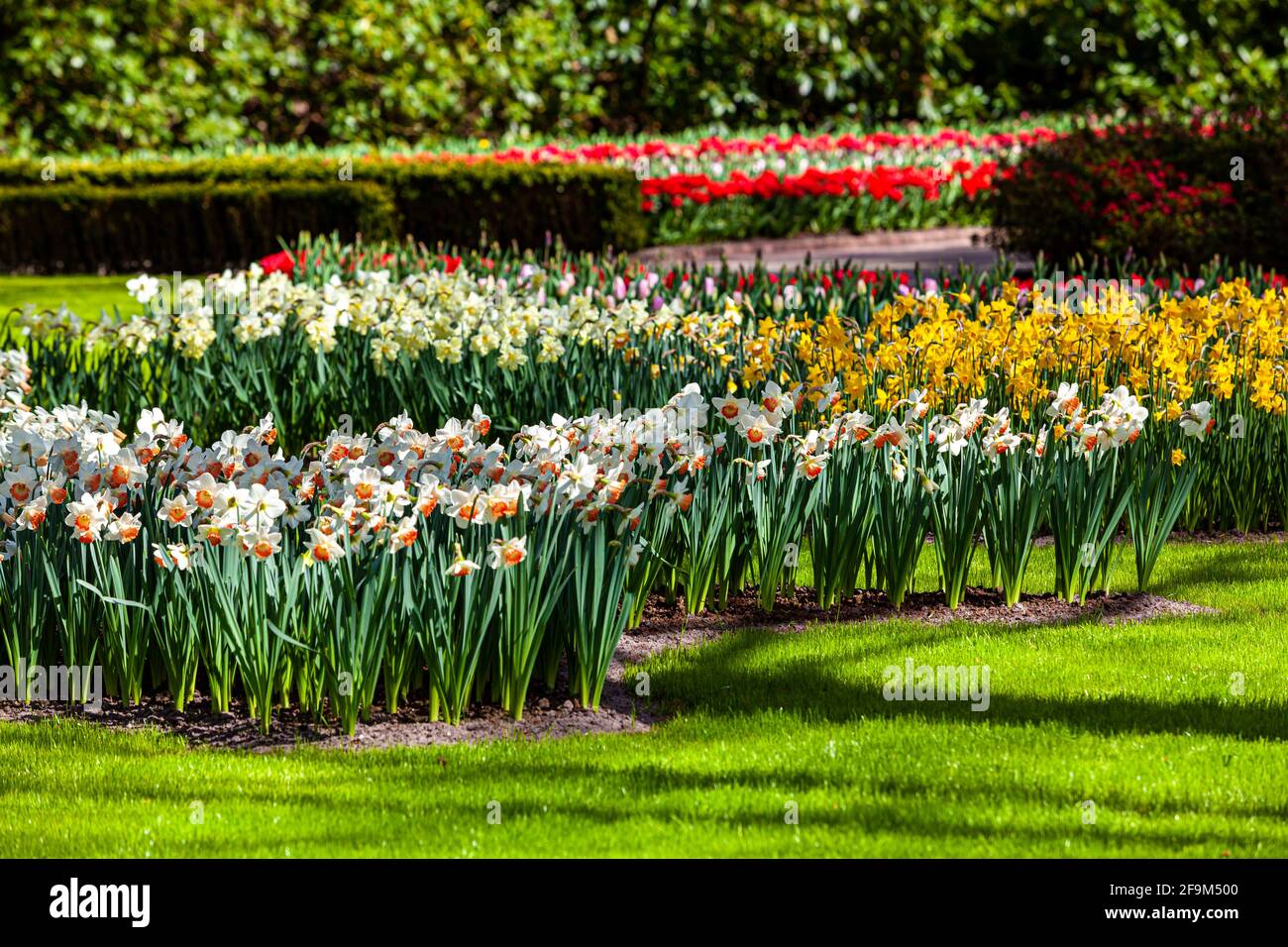 Colorful garden landscape and grassy lawn Stock Photo - Alamy