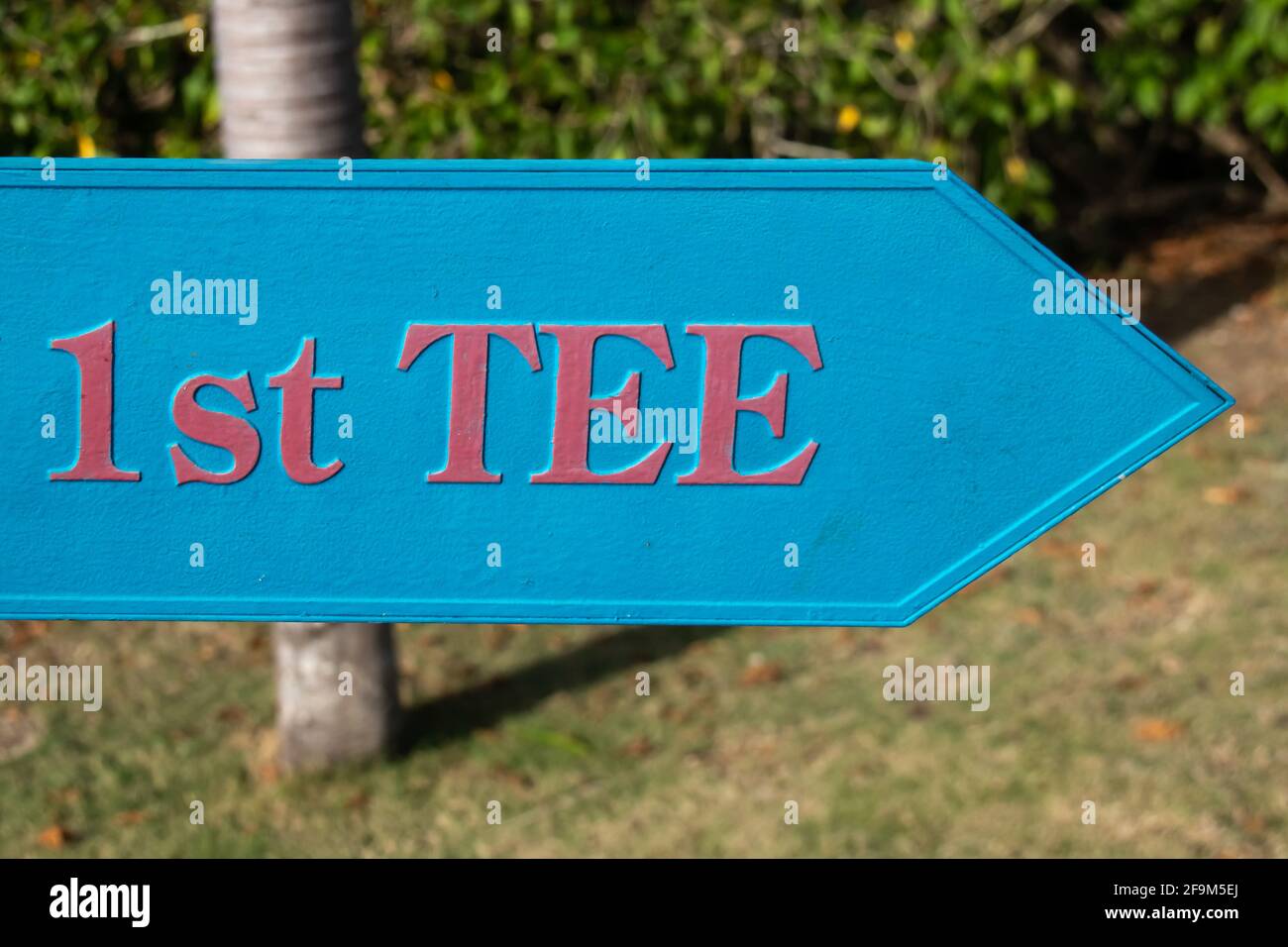 A turquoise blue wooden sign points right directing golfers at a ...