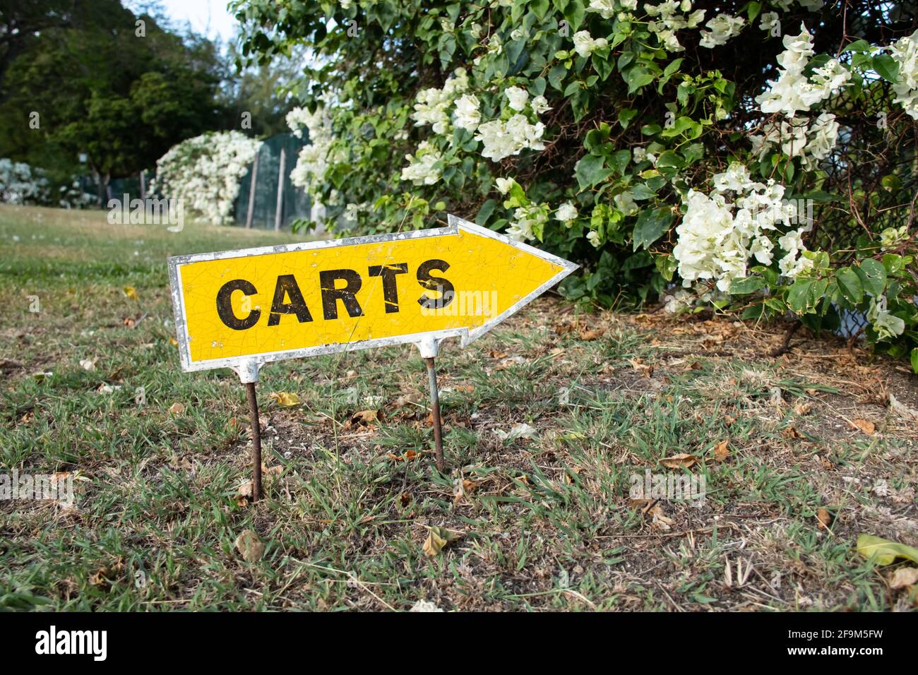 A yellow arrow-shaped sign for golf carts with a white border, attached ...