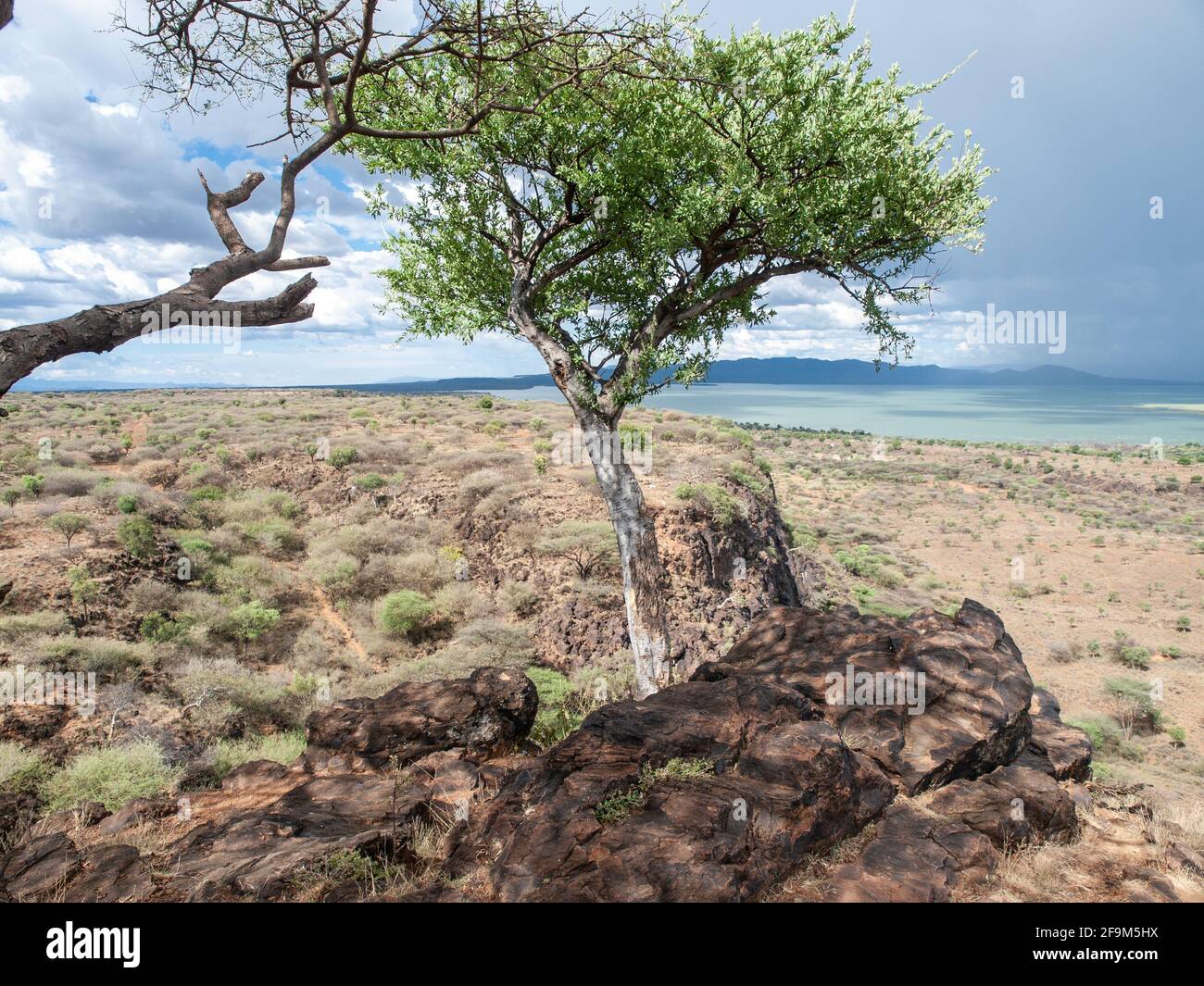 Lake Baringo, Kenya, Africa Stock Photo - Alamy