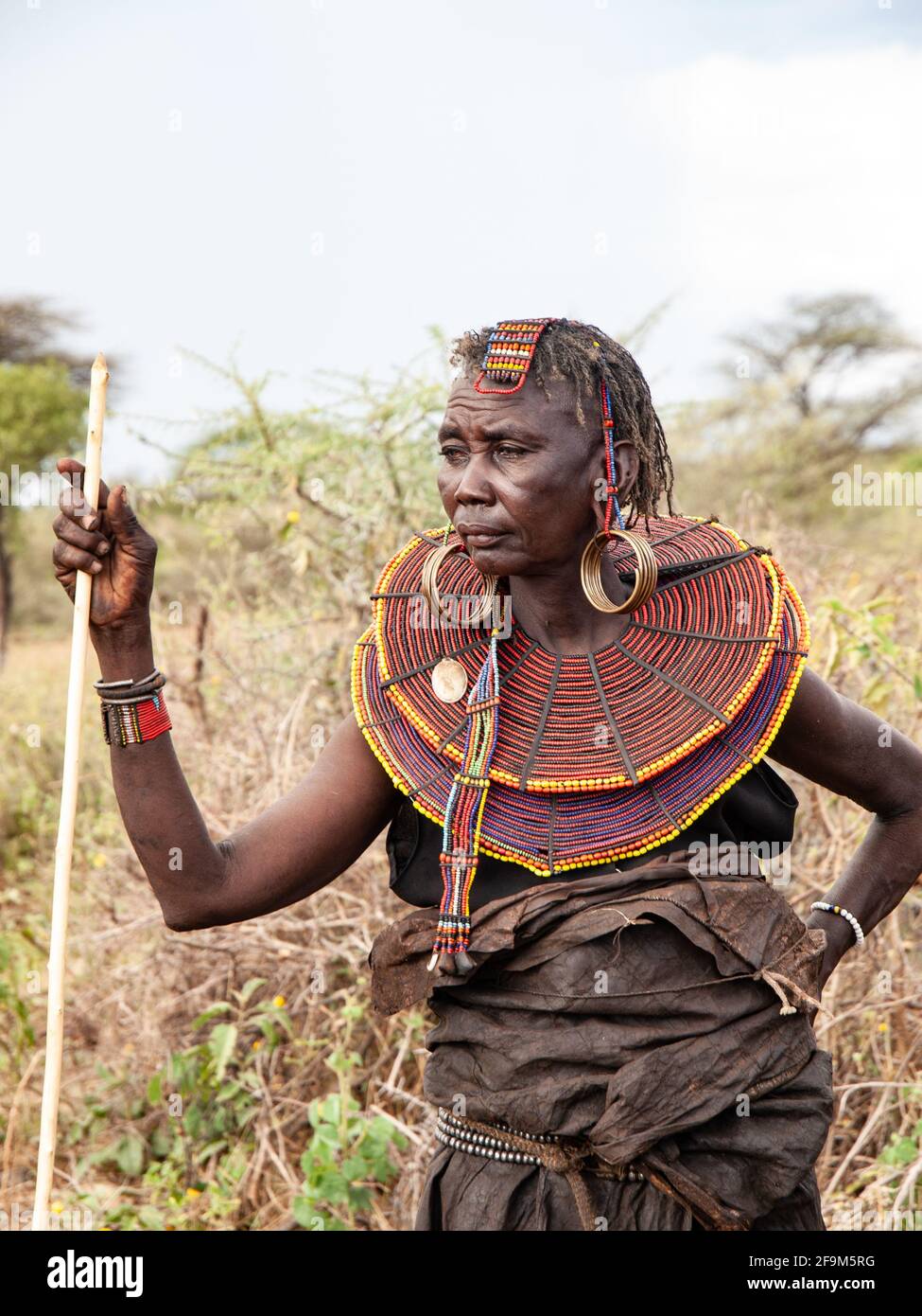 Native woman in traditional garb, posing in village. The Pokot people ...