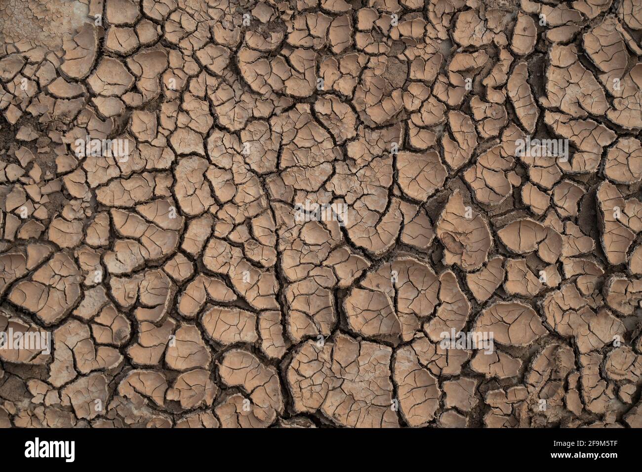 Dirt lumps hi-res stock photography and images - Alamy