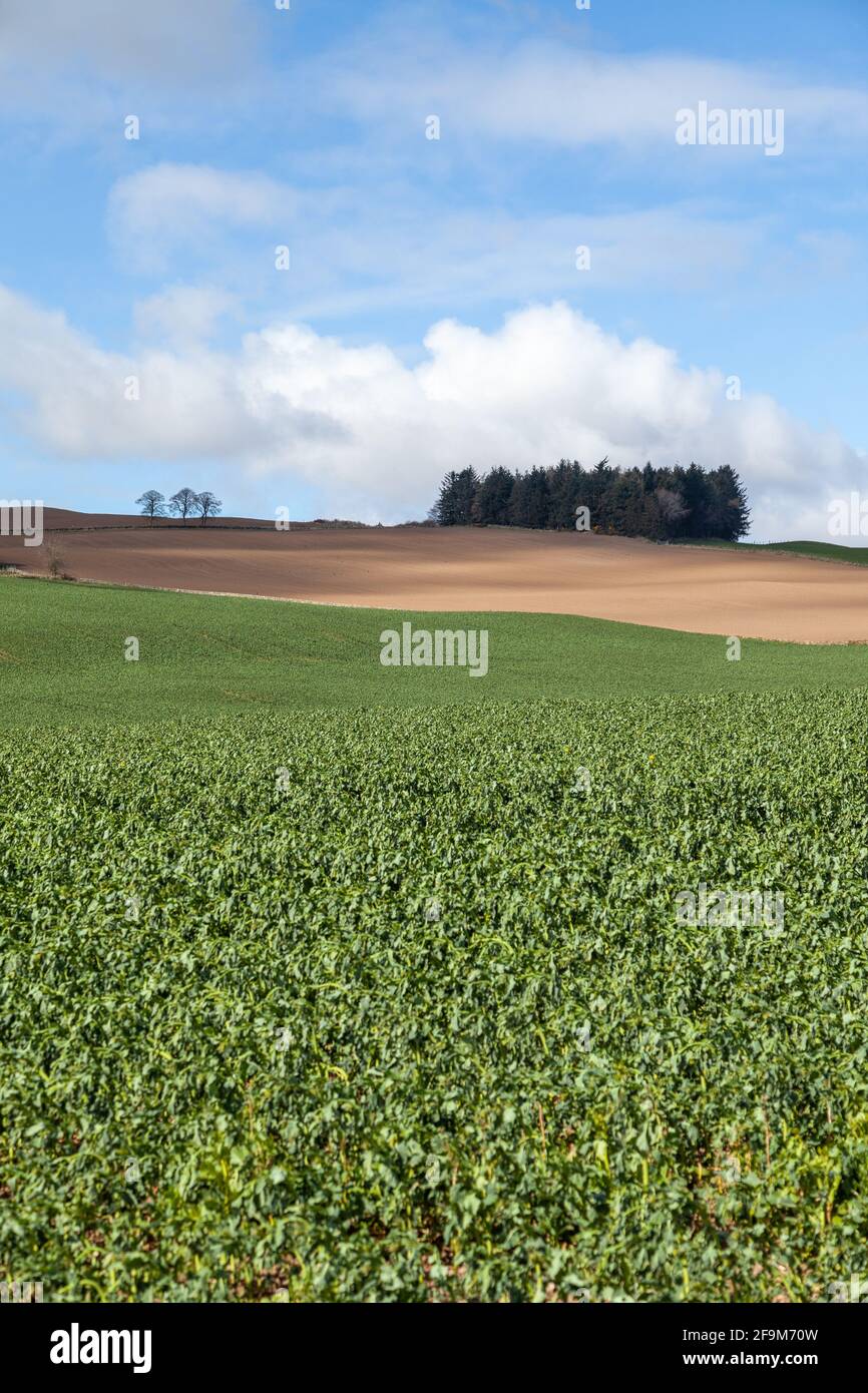 Auchtermuchty fife hi-res stock photography and images - Alamy