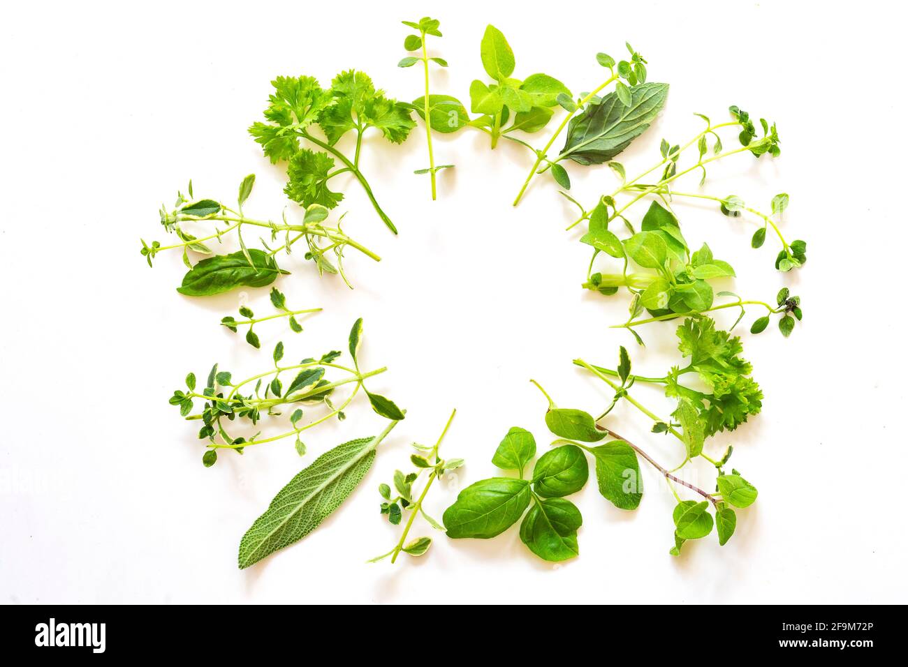 Fresh green herbs on white background Stock Photo - Alamy