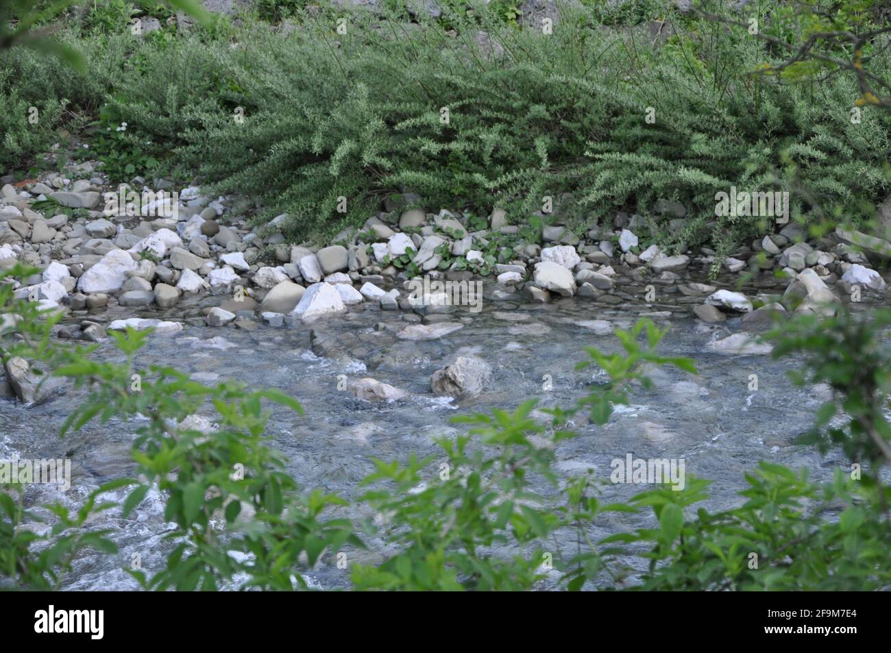 Calm river on a bright spring day, water flowing Stock Photo - Alamy