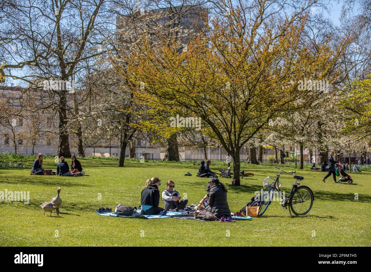 Groups of people sitting in the springtime sunshine at St Jame's Park ...