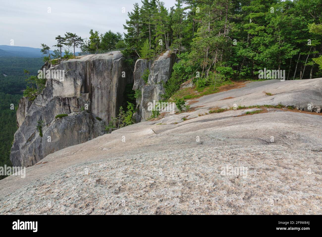 The top of Cathedral Ledge in Bartlett, New Hampshire. Cathedral Ledge ...