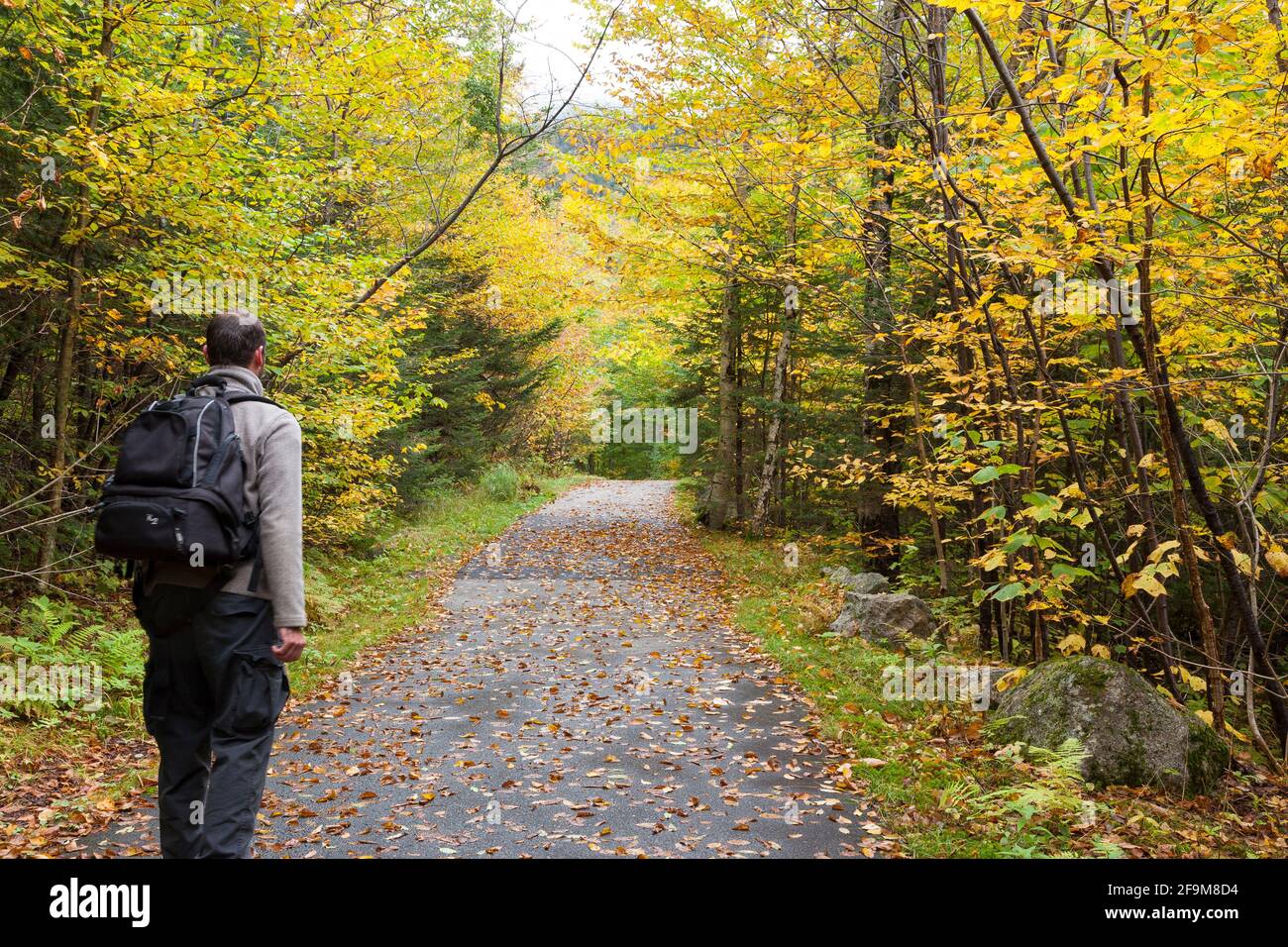 Franconia Notch State Park - Man walking along the Franconia Notch Bike ...