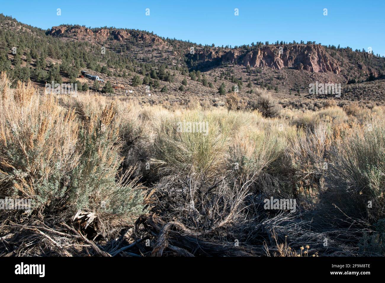 Mono County in California is home to some incredible vistas, including ...