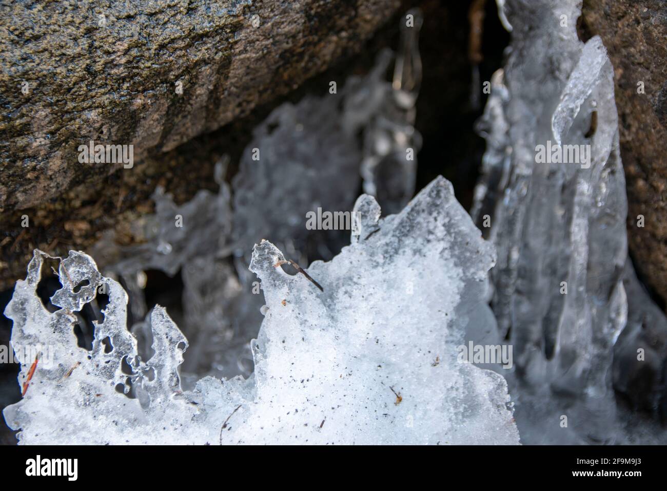 Tyee lakes trail hi-res stock photography and images - Alamy