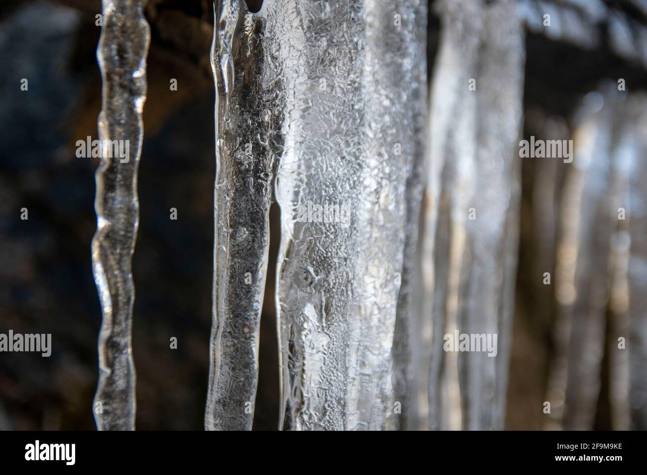 Tyee lakes trail hi-res stock photography and images - Alamy