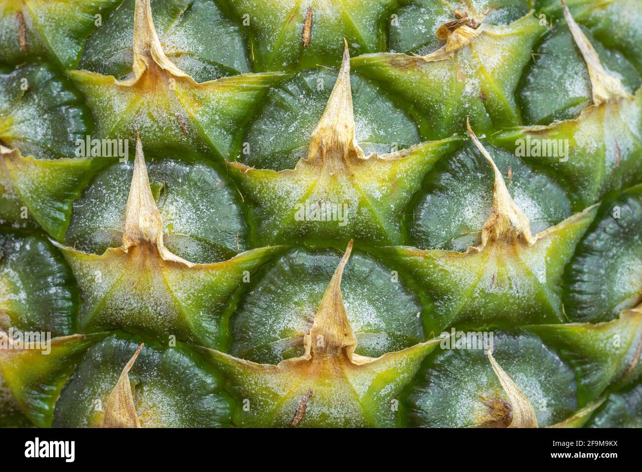 Pineapple close up pattern hi-res stock photography and images - Alamy
