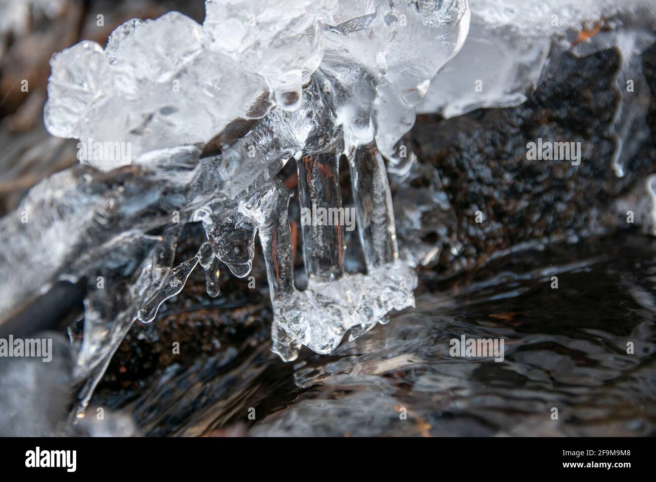 Snow still covers the Tyee Lakes trail in Inyo County, CA, USA, but it ...