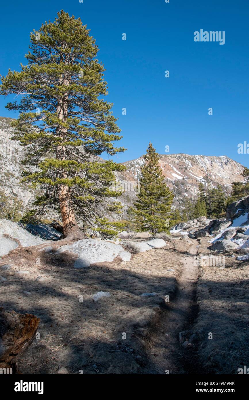 Tyee lakes trail hi-res stock photography and images - Alamy