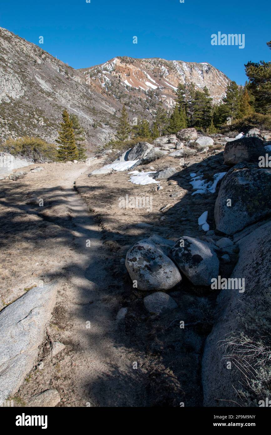 The Tyee Lakes Trail in Inyo County, CA, USA is still covered with snow ...