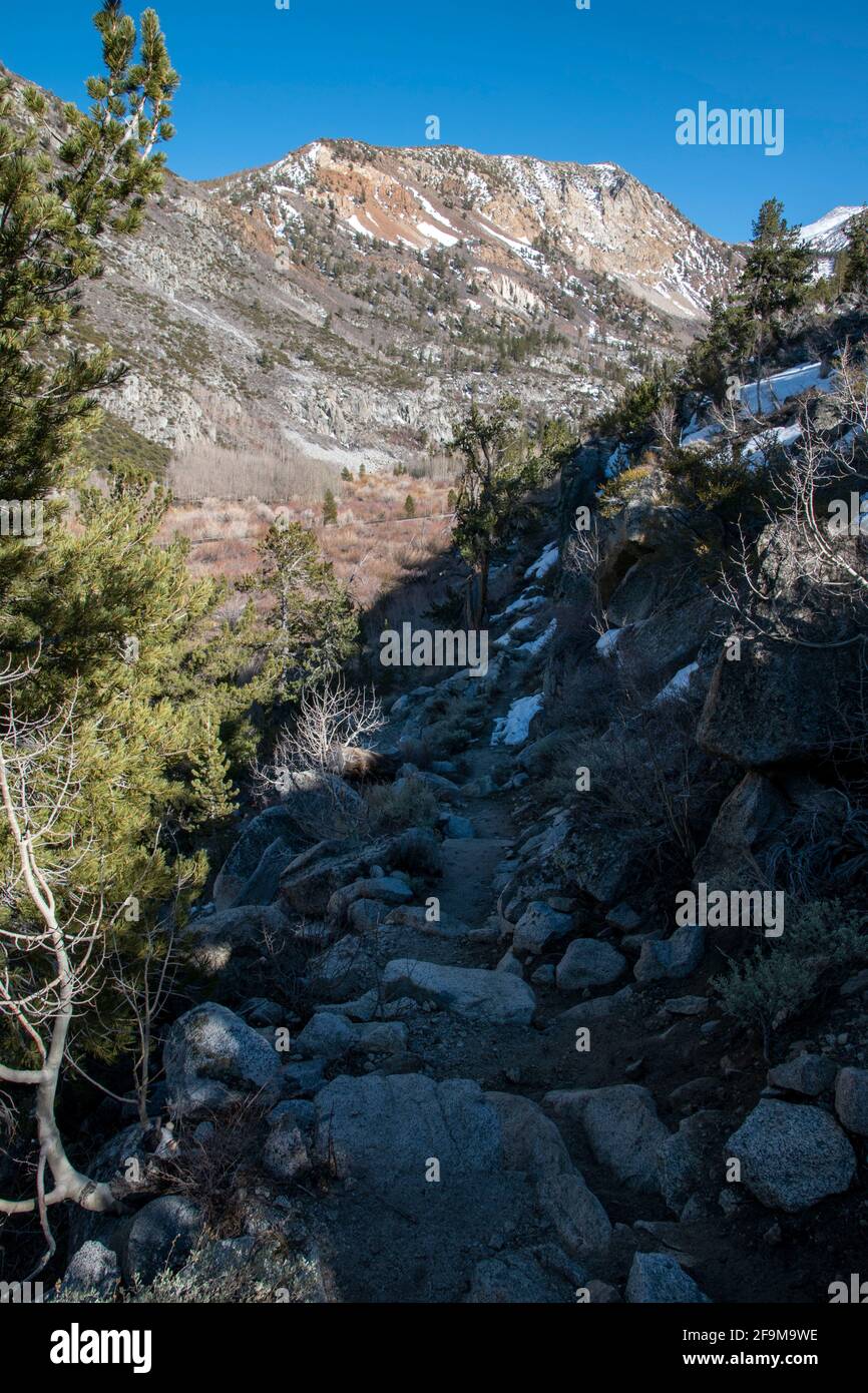 Tyee lakes trail hi-res stock photography and images - Alamy