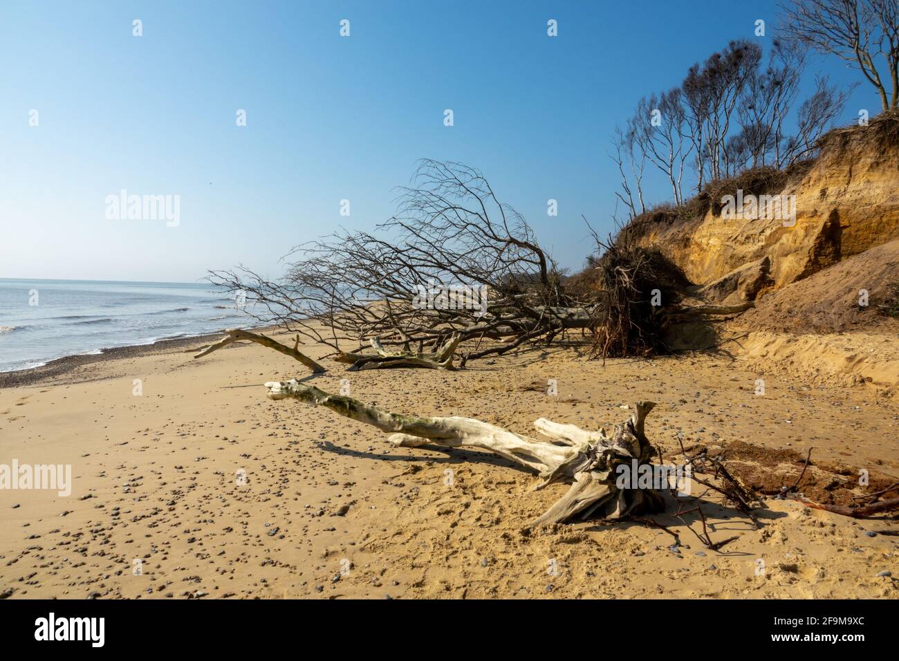 Covehithe Beach High Resolution Stock Photography and Images - Alamy