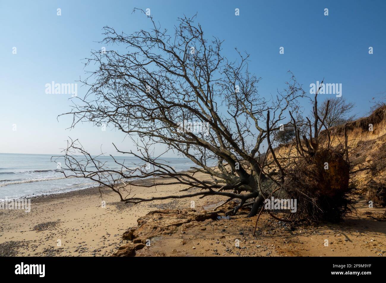 Covehithe suffolk beach hi-res stock photography and images - Alamy