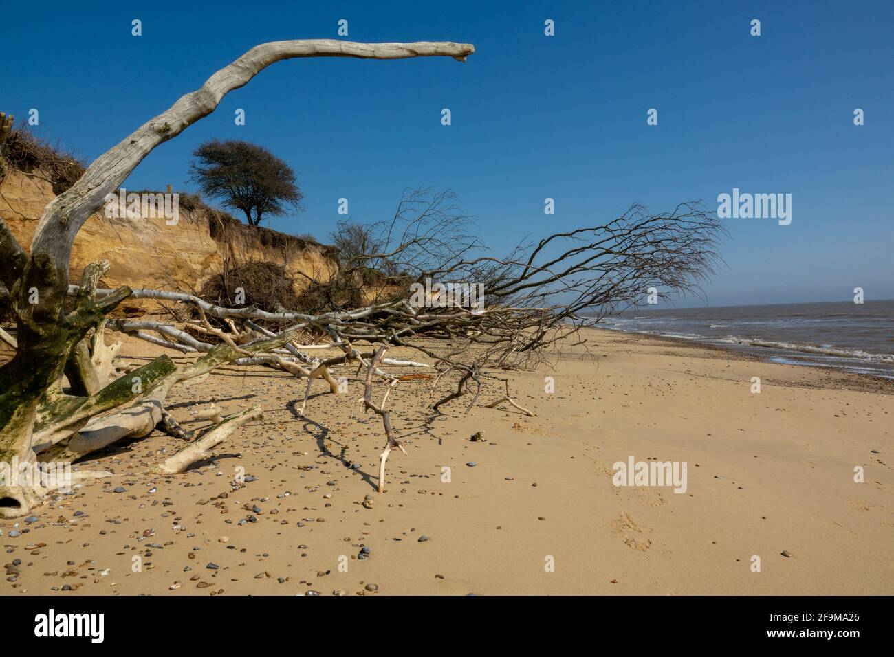 Beach covehithe, suffolk hi-res stock photography and images - Alamy