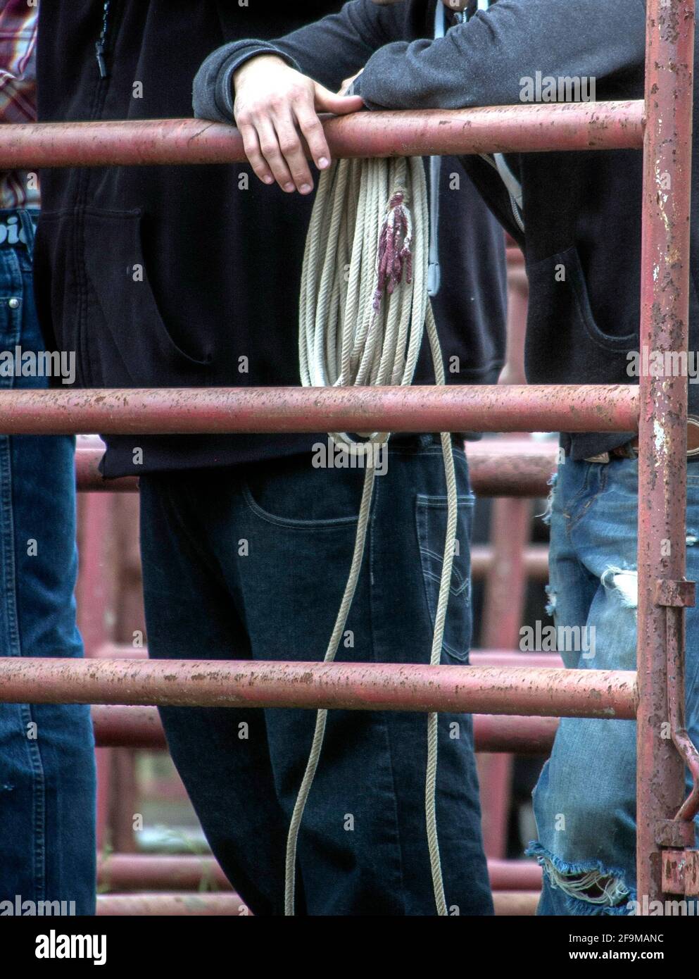 Latting rodeo hi-res stock photography and images - Alamy