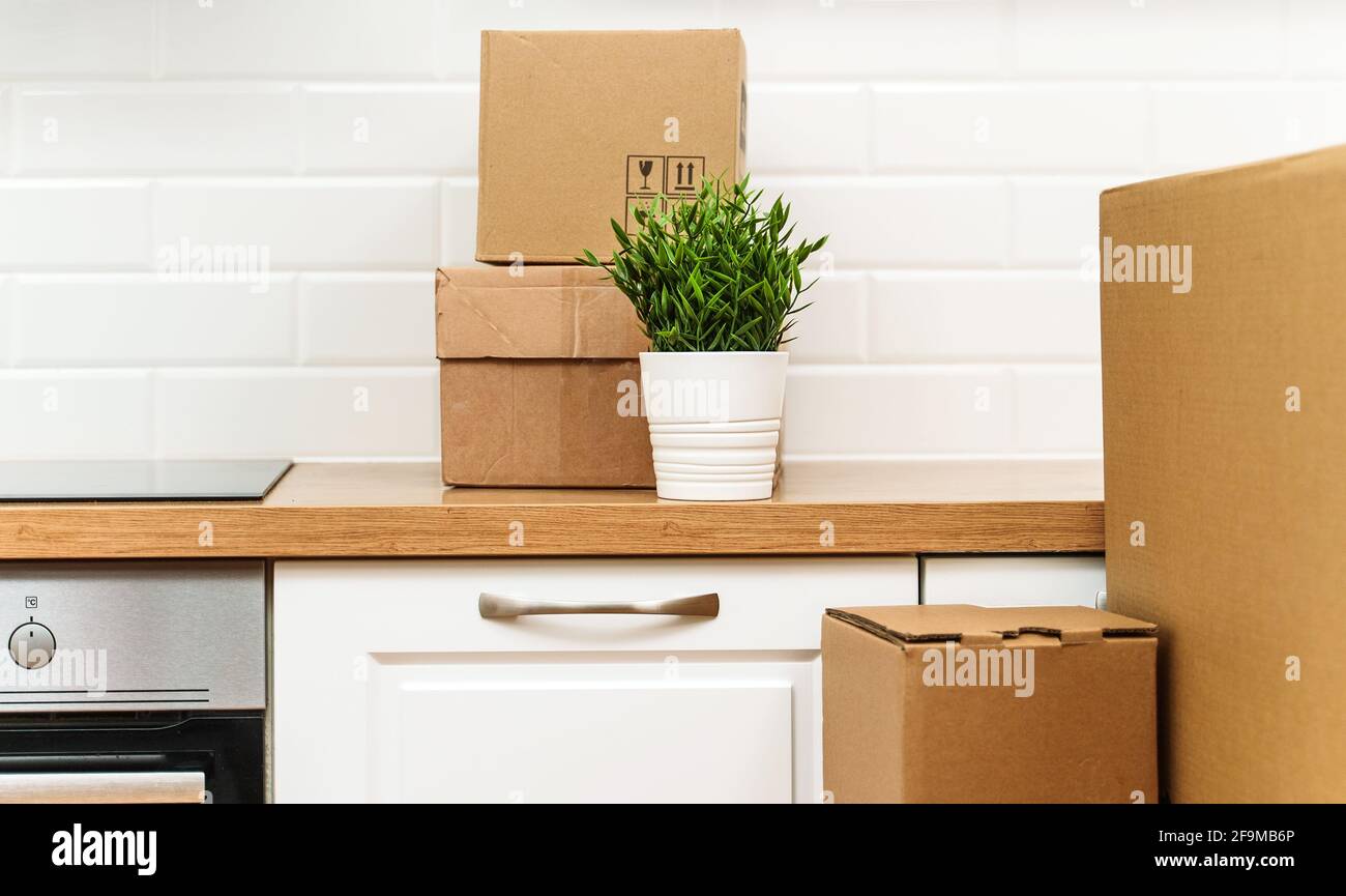 Flower pot and cardboard boxes on the new kitchen Stock Photo - Alamy