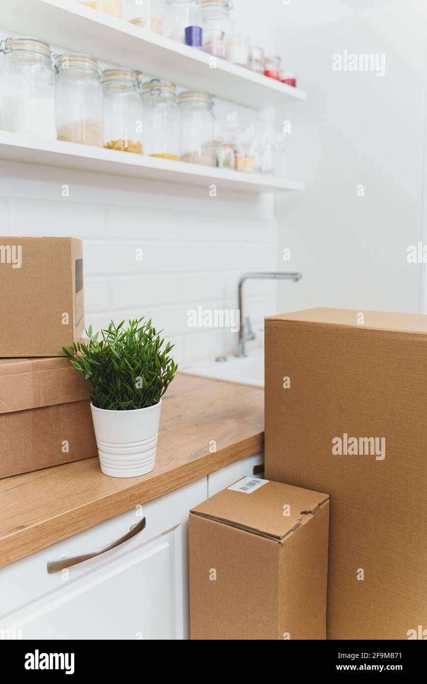 Cardboard plant pot hi-res stock photography and images - Alamy