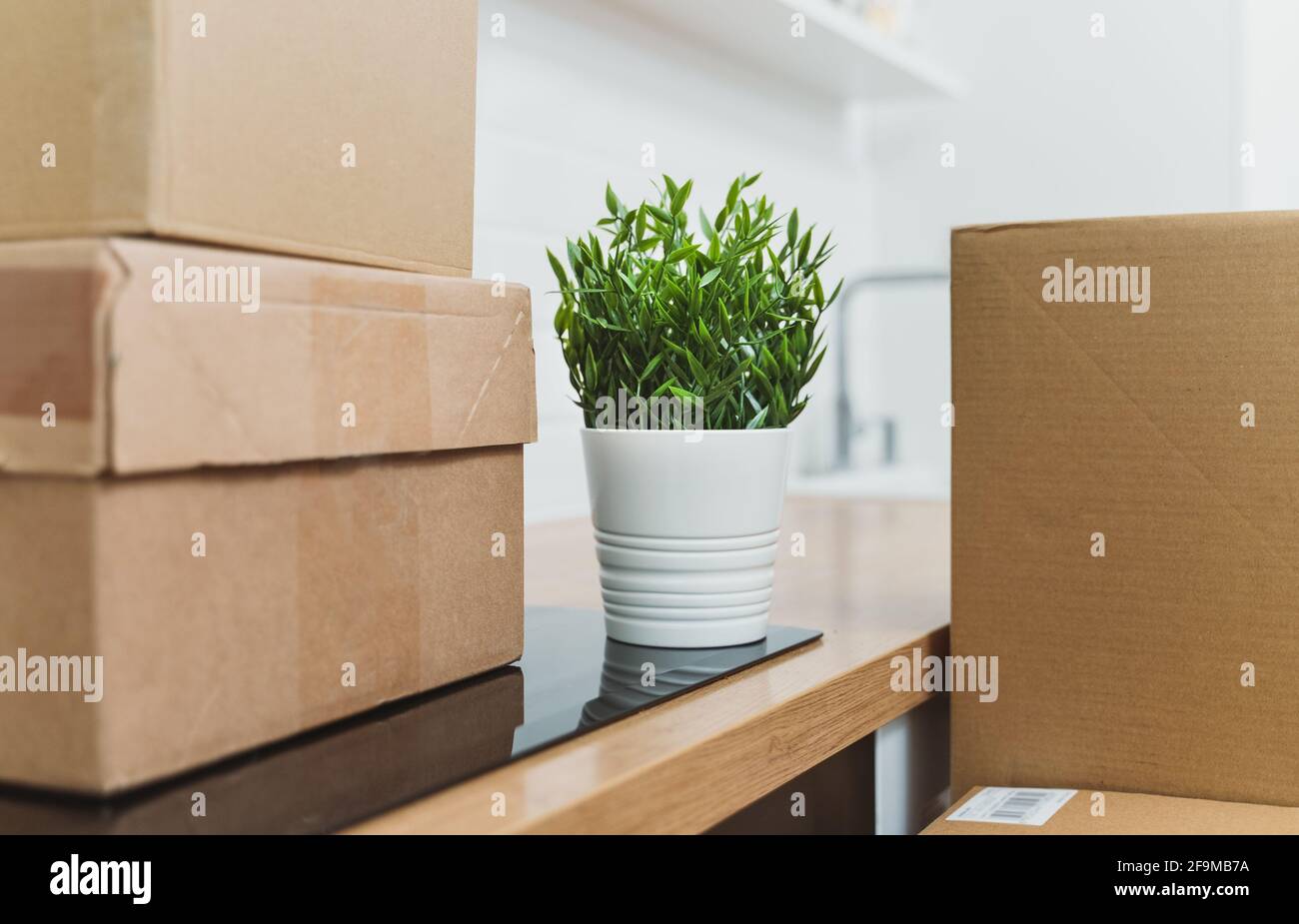 Flower pot and cardboard boxes on the new kitchen Stock Photo - Alamy