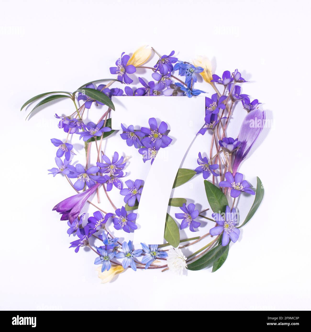 Layout with spring flowers and number seven. Anniversary concept. Flat ...