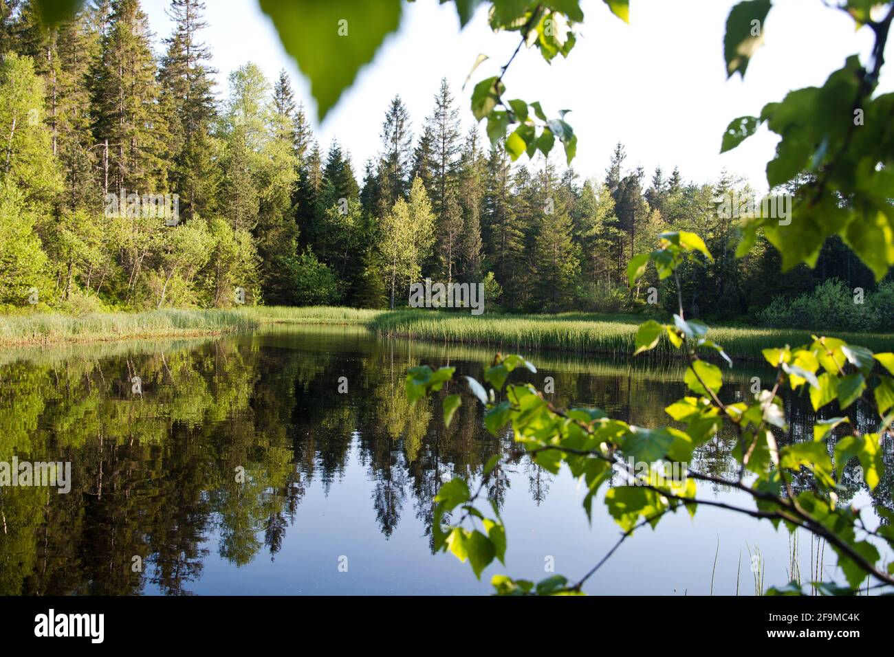 Idyllischer see hi-res stock photography and images - Alamy