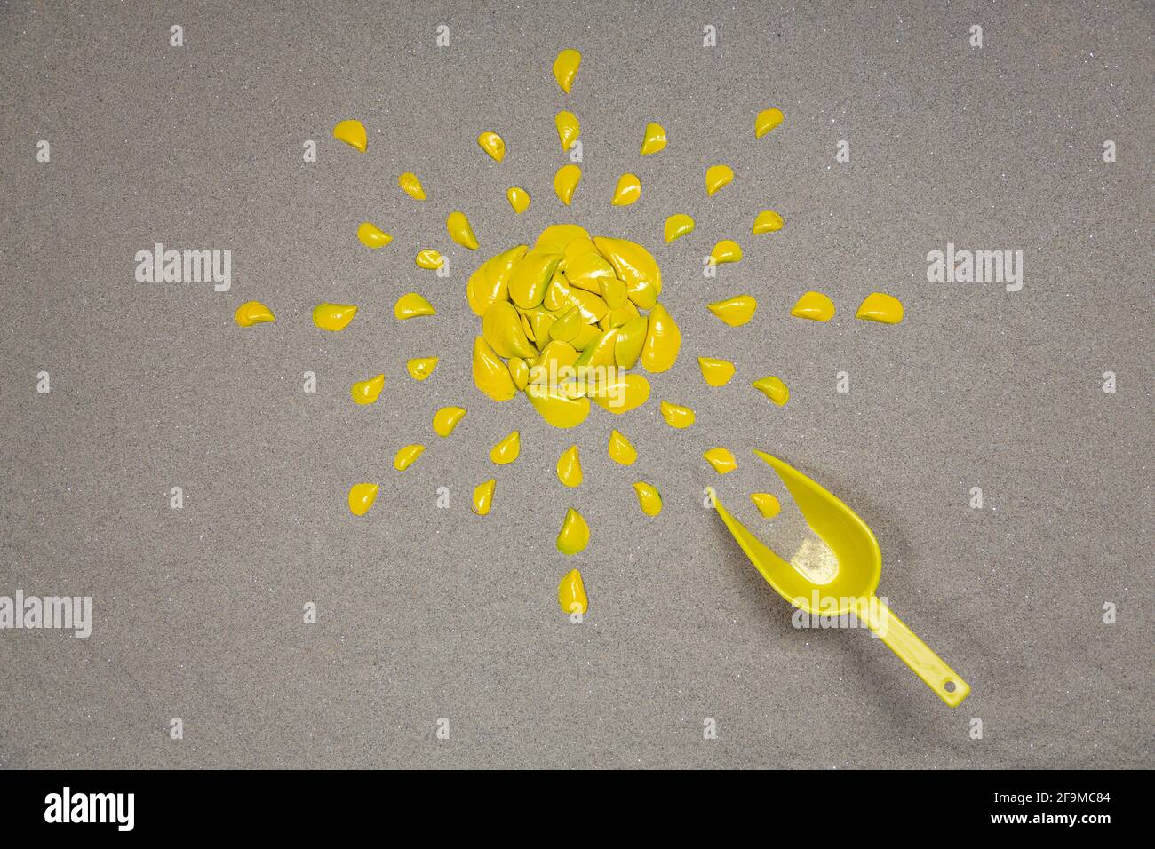 Sun made of yellow seashells with spatula - centered Stock Photo - Alamy