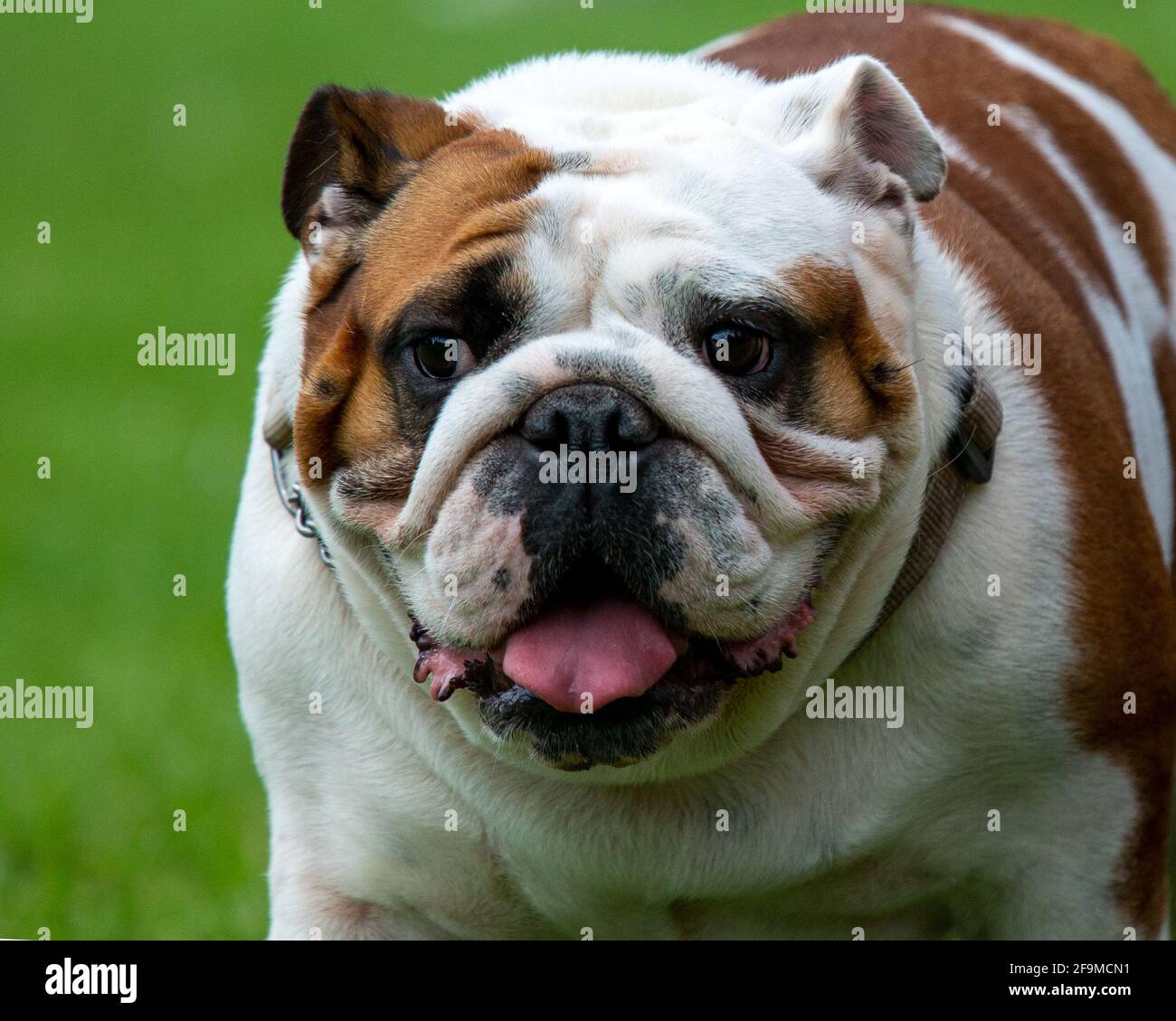 Exaggerated hair hi-res stock photography and images - Alamy