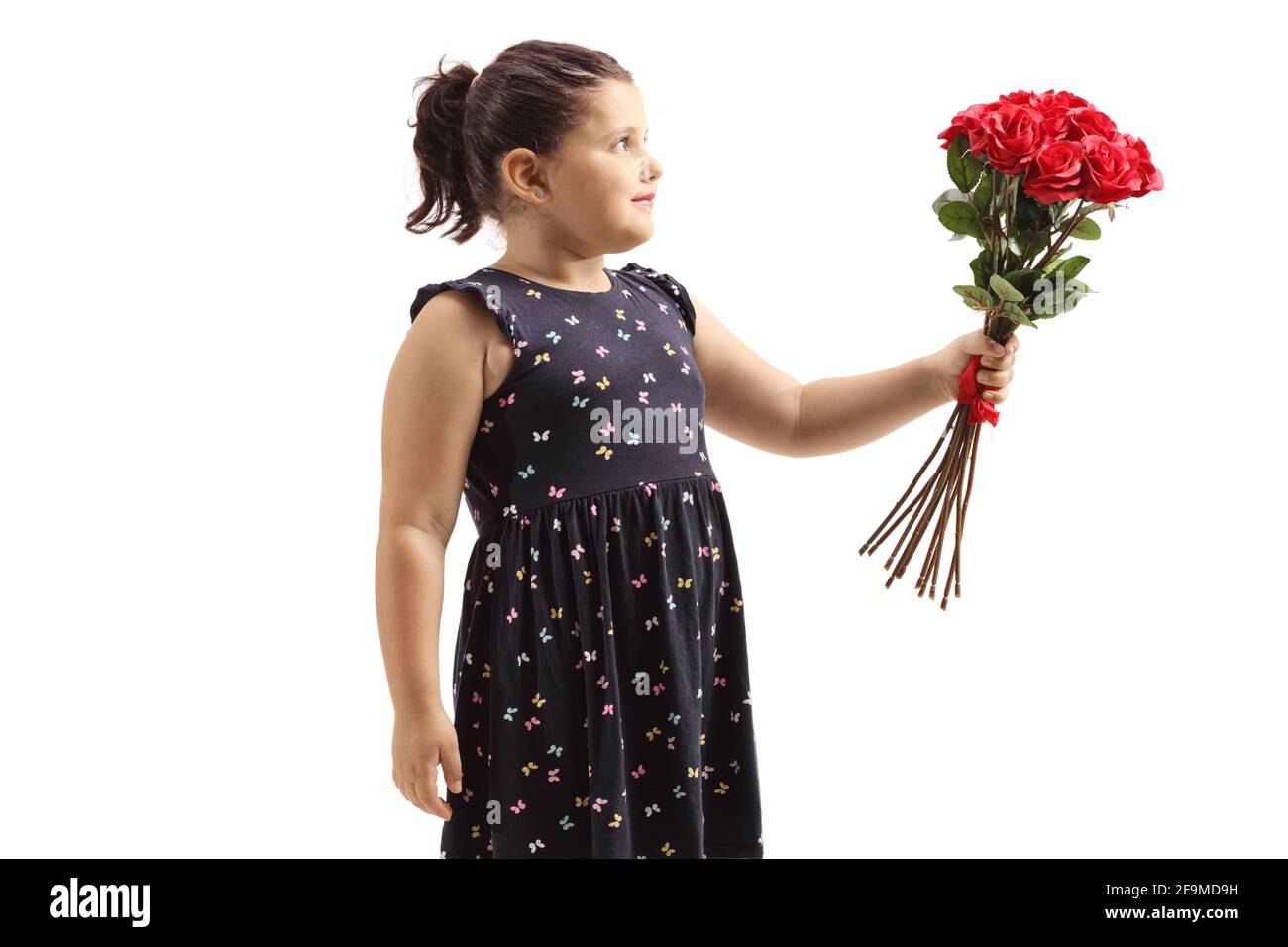 Girl giving a bunch of red roses isolated on white background Stock ...