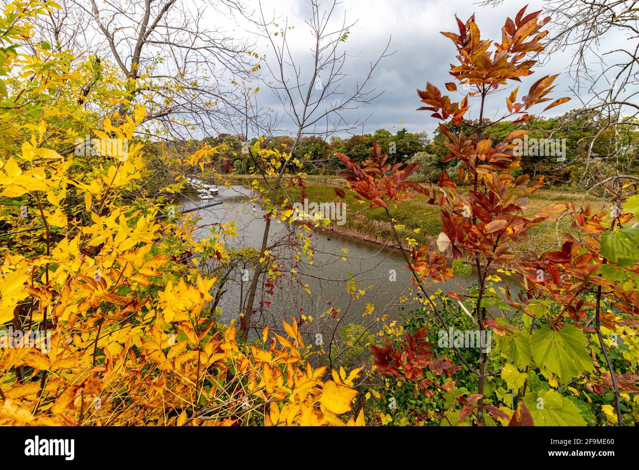 Thick fall foliage by the riverside - Fall in Central Canada, ON Stock ...