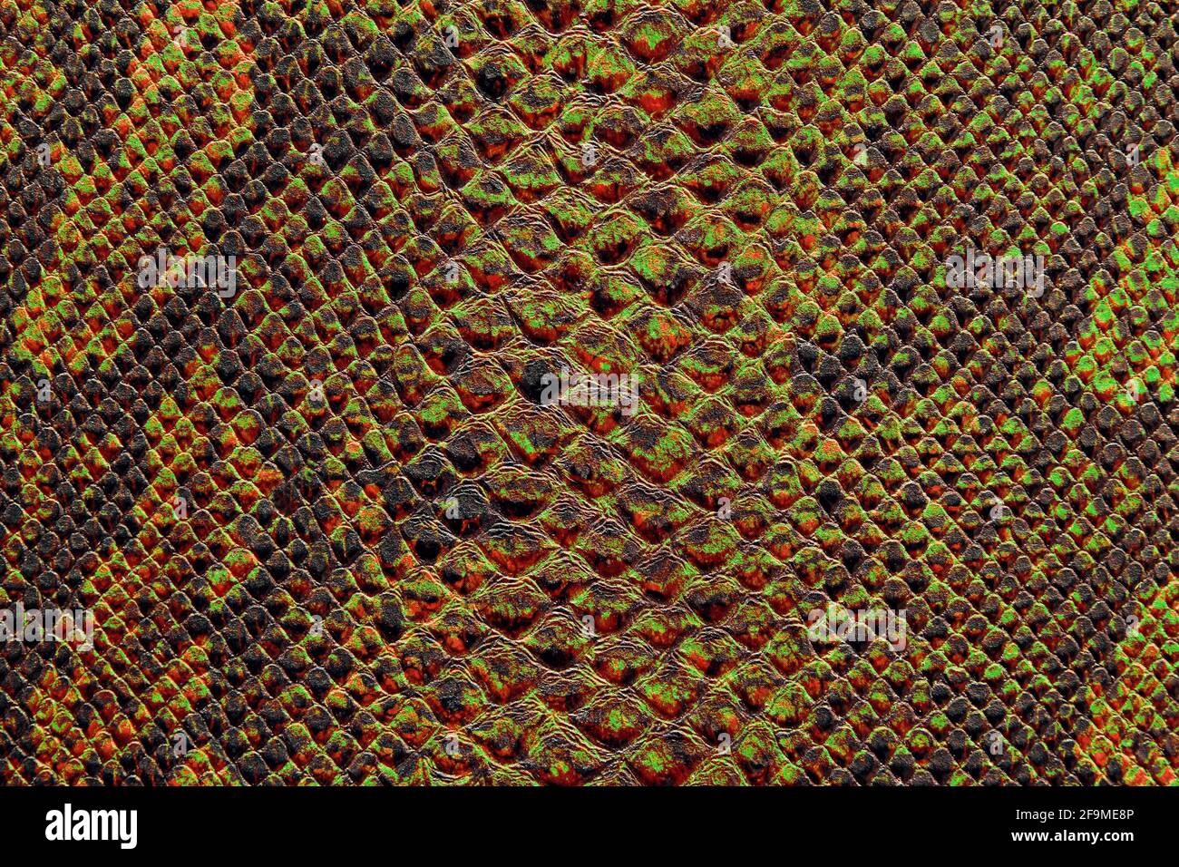 the texture of snake skin Stock Photo - Alamy