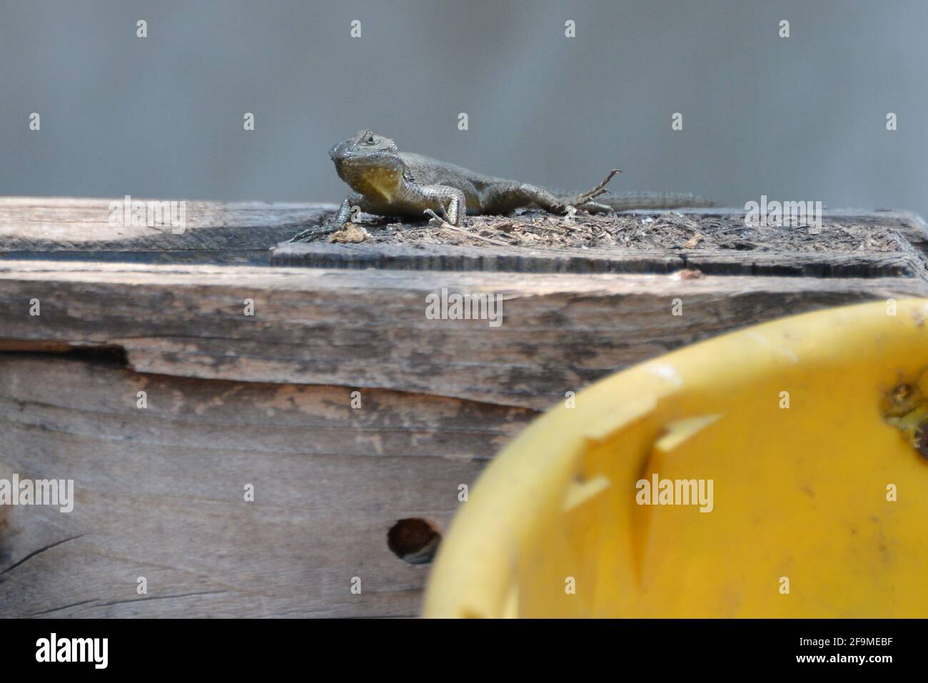 Pot helmets hi-res stock photography and images - Alamy