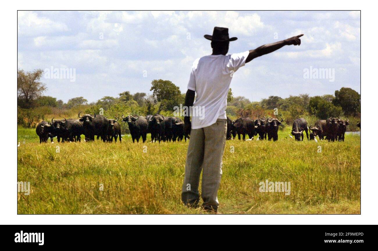 Namibia chief hi-res stock photography and images - Alamy
