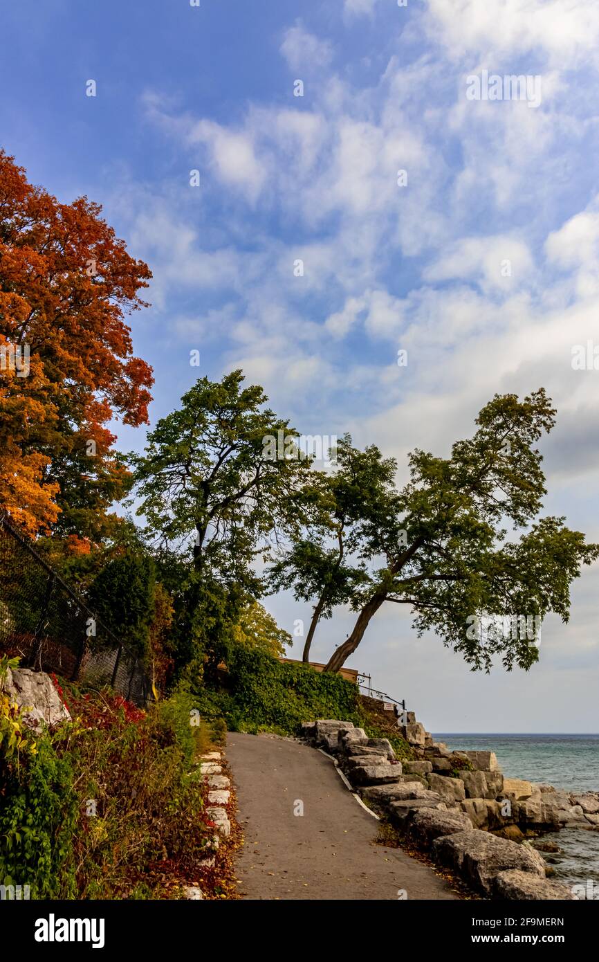 Narrow path filled with colorful leaves - Fall in Central Canada, ON ...