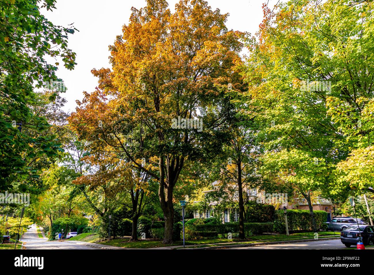 Typical street scene in the fall - Fall in Central Canada, ON Stock ...
