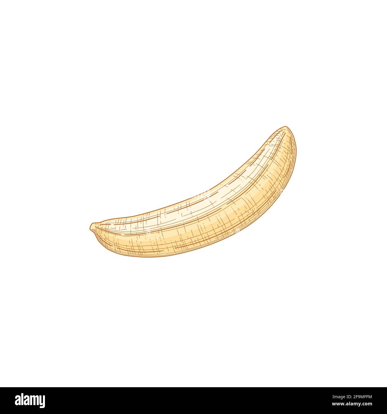 Peeled Banana Clip Art