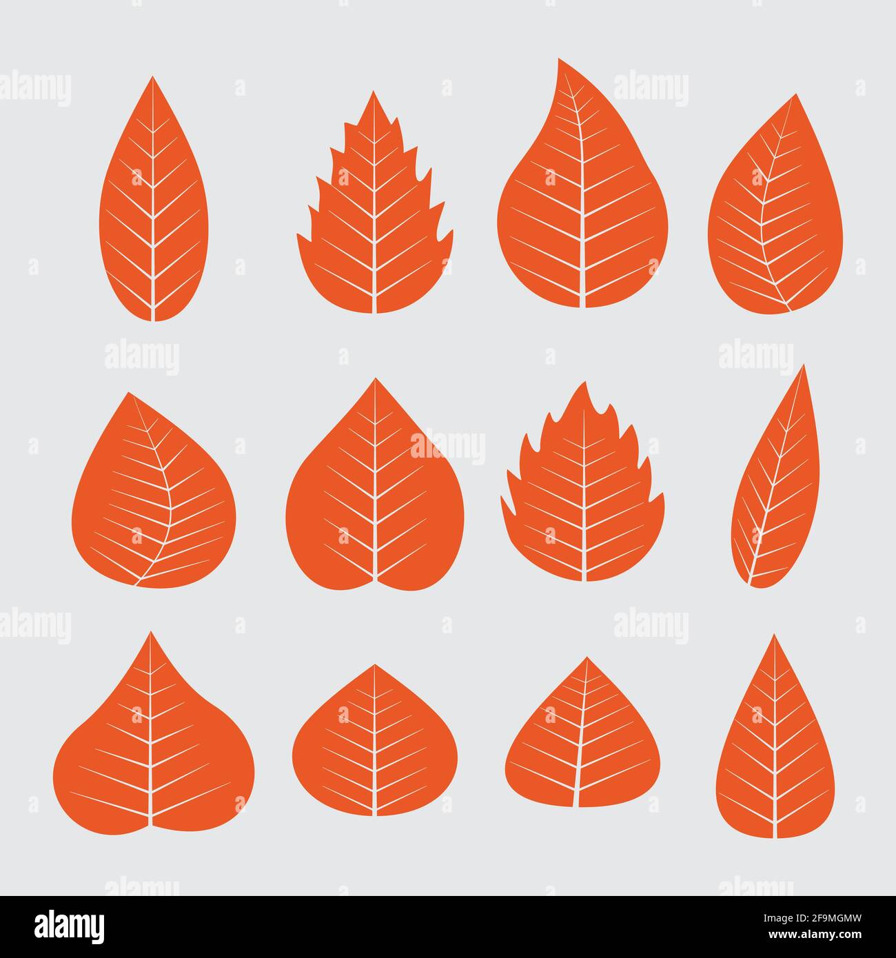 Autumn leaves vector set. Different orange leaves collection flat ...