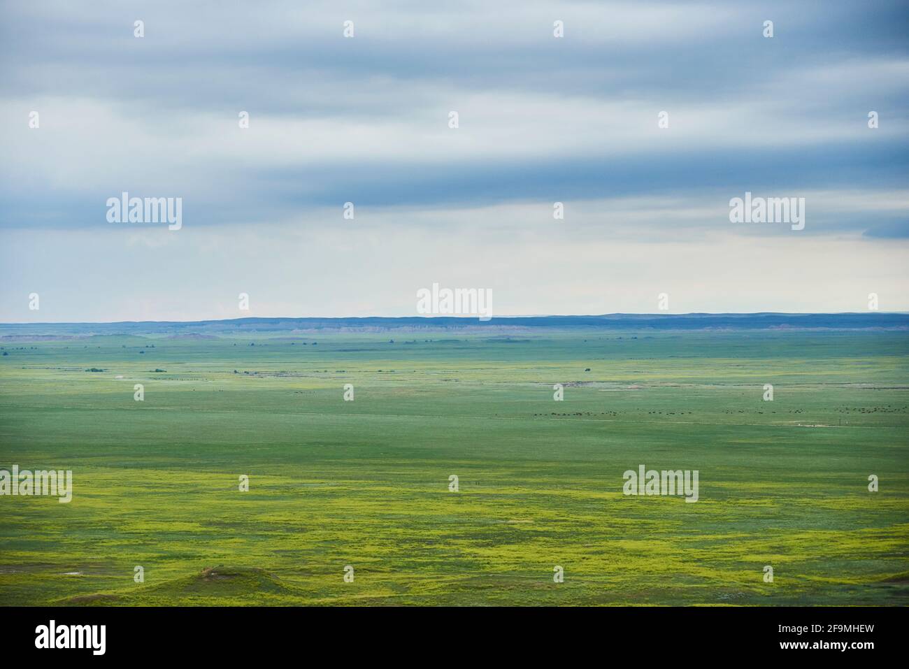 Prairie grass great plain hi-res stock photography and images - Alamy