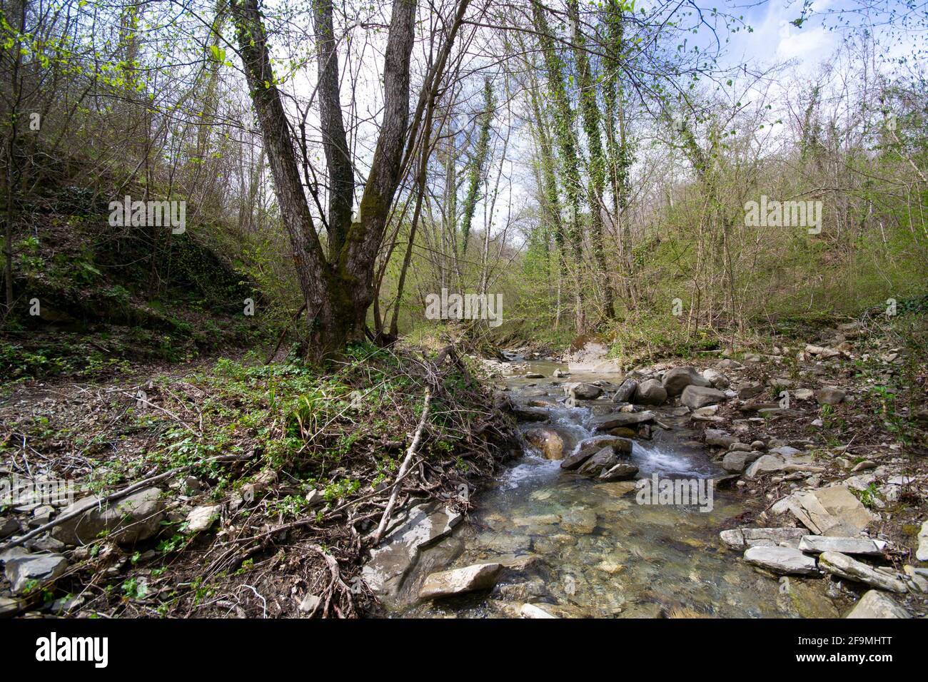 Tuscany, Italy, April 2021. Mountain stream waterfall in an early ...
