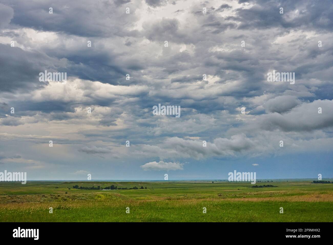 Great Plains Mixed Grass Prairie High Resolution Stock Photography and ...