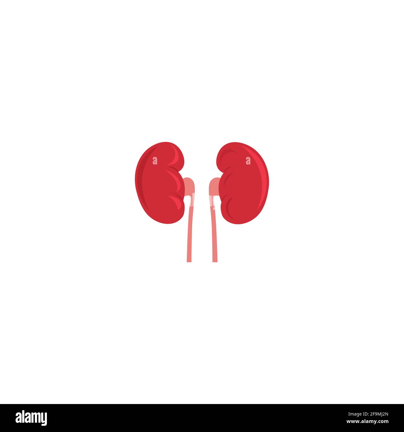 Modern Human Kidney with veins Icon Vector illustration. Simple Kidney ...