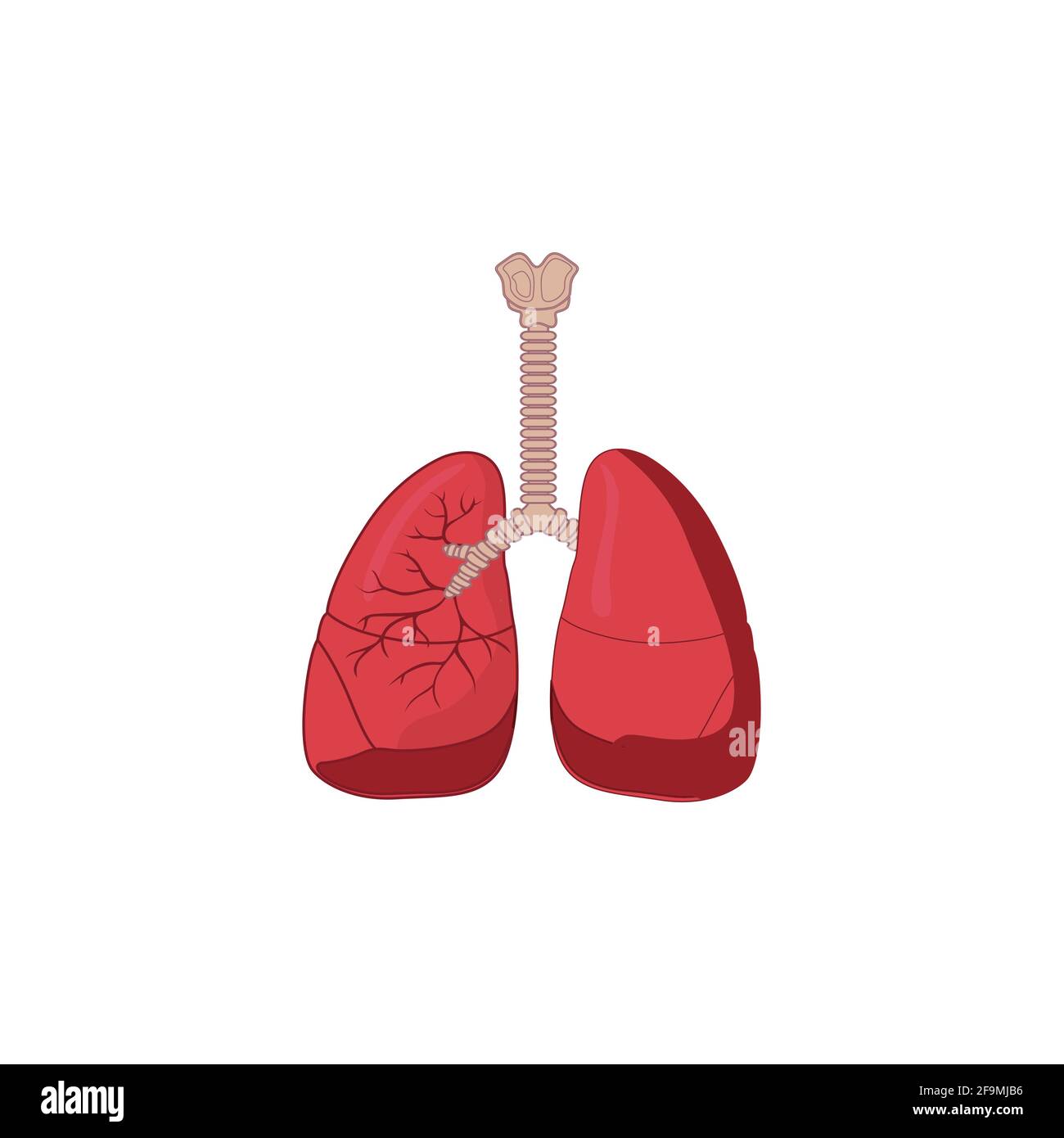 Human Respiratory System Icon Vector Illustration isolated on white ...
